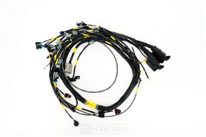 Rywire GM LS3 V8 E38 ECU Engine Harness w/Bosch MAP Option (Req PDM/Fu ...